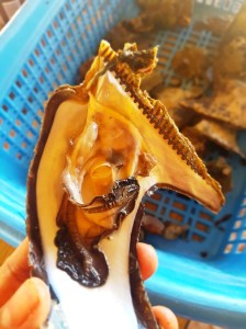 Gigantes Islands, Iloilo Travel Guide: Tour, Itinerary, & Budget | The ...